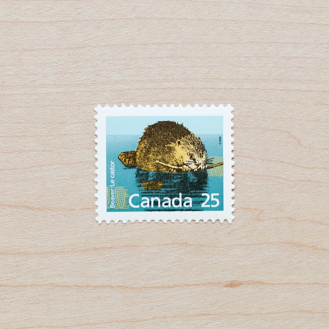 4 Beaver Postage Stamps, Canadian Vintage, Tiny Animals, Wild Mammals ...