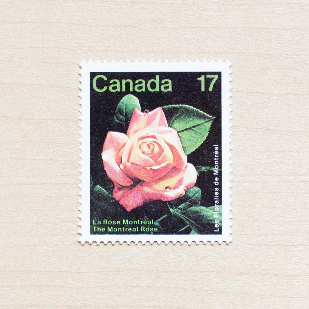 4 Montreal Rose Postage Stamps, Canada, Wedding Calligraphy, Pink ...