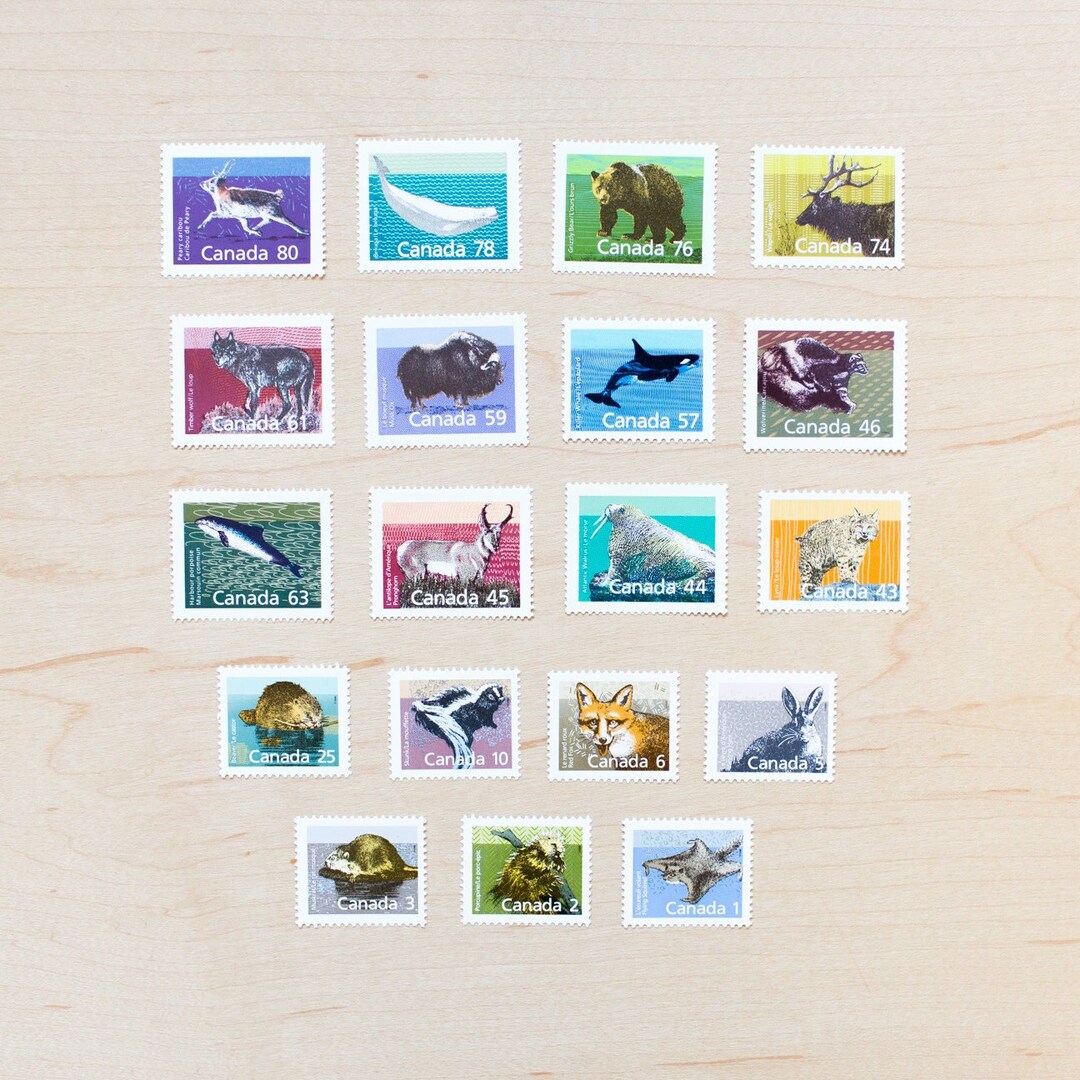 19 Canadian Mammals Postage Stamps, Vintage Canada, Wedding Calligraphy ...