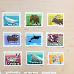 19 Canadian Mammals Postage Stamps, Vintage Canada, Wedding Calligraphy ...
