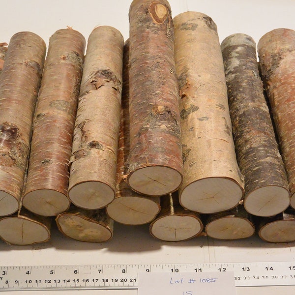 Birch Logs - Etsy