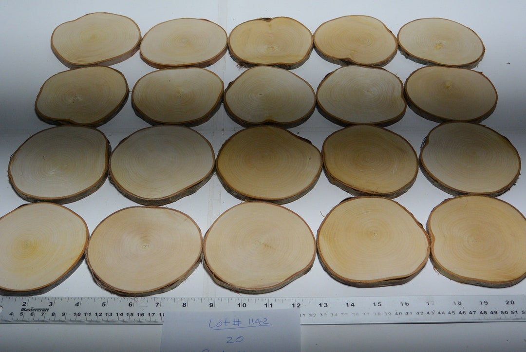 25 Birch Rounds, Lot # 1142, Birch Tree Slices, Coasters, Wedding ...