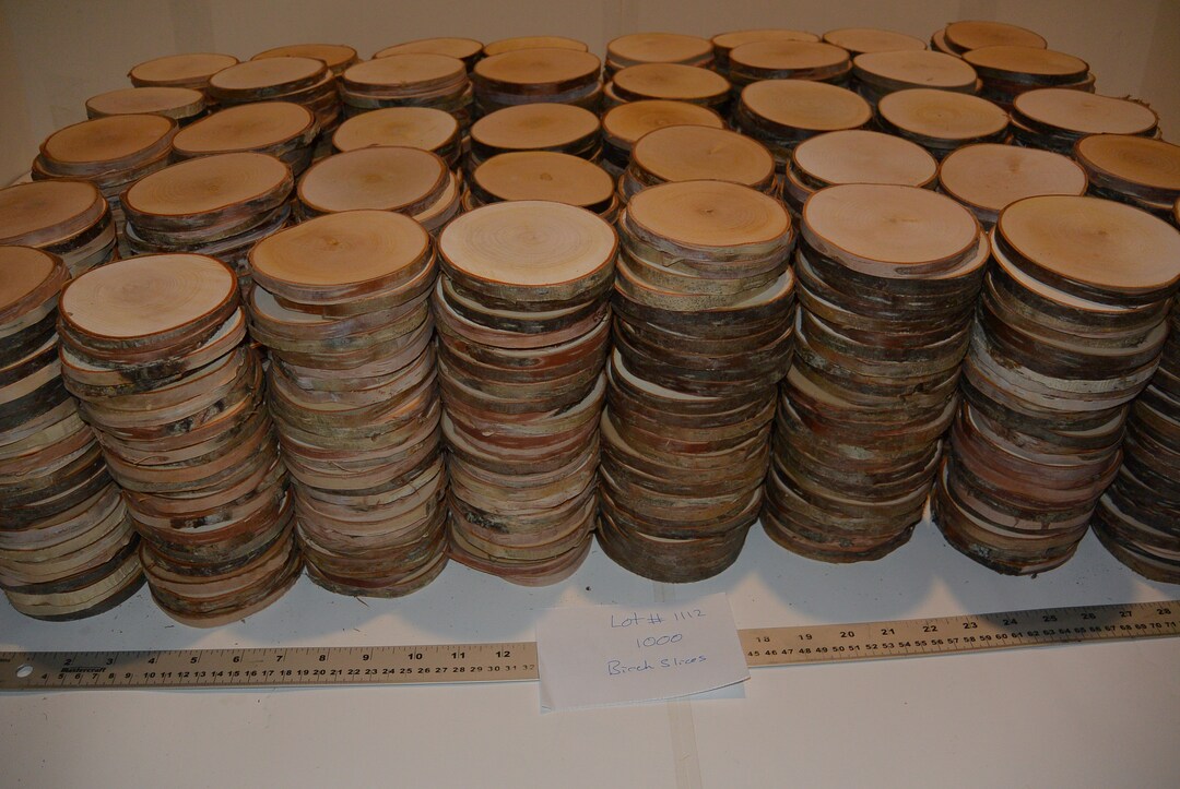 1000 Birch Rounds, Lot 1112, Birch Tree Slices, Coasters, Wedding ...