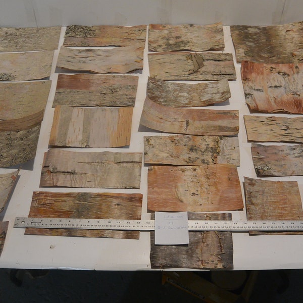 Birch Bark Sheets - Etsy
