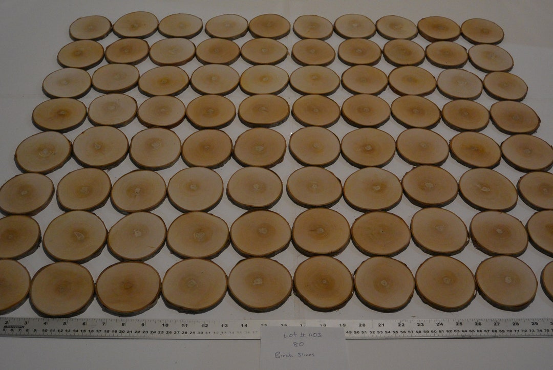 80 Birch Rounds, Lot 1103, Birch Tree Slices, Coasters, Wedding ...