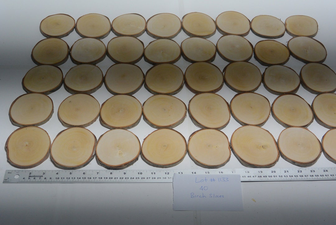 40 Birch Rounds, Lot 1133, Birch Tree Slices, Coasters, Wedding ...
