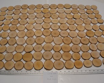 Birch Tree Slices - Etsy