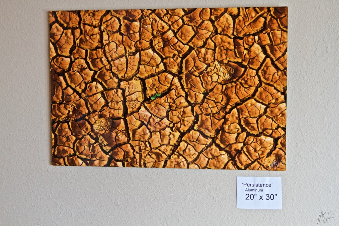 Persistence of Life - Wall Art - Metal Print - Hawaii - Abstract ...