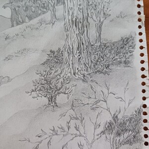 At the Mountain's Edge, Pencil Drawing on Paper, Signed N. Long '97 - Etsy