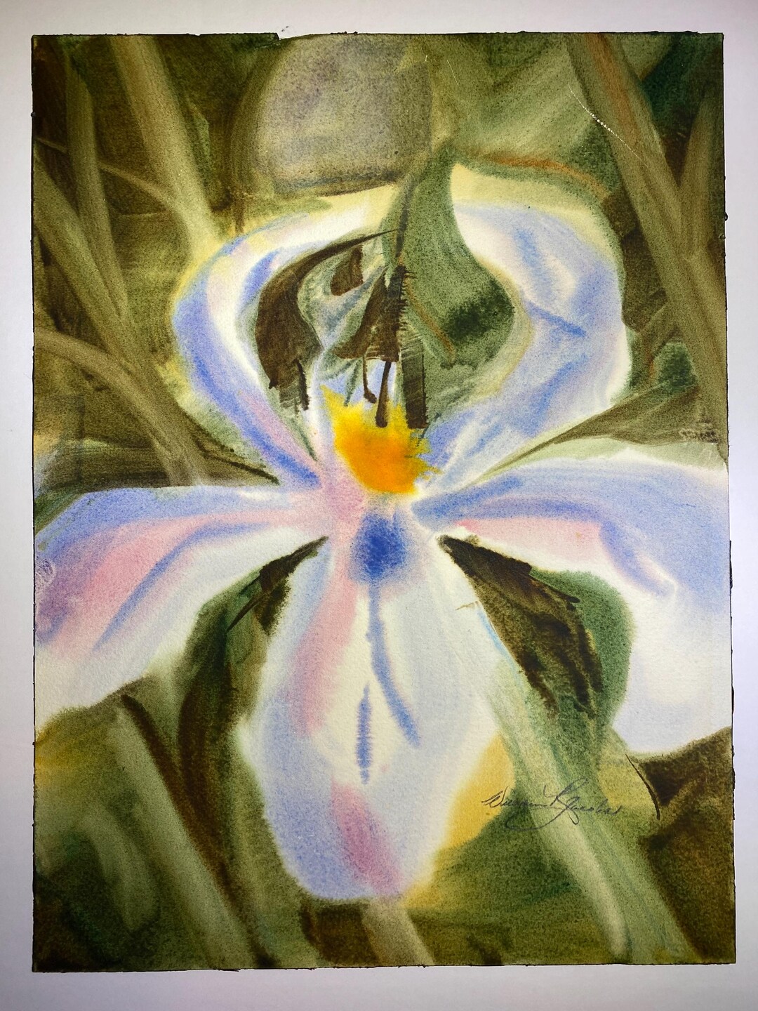 Iris Watercolor Painting, by William P. Jacobs of Clinton, South ...