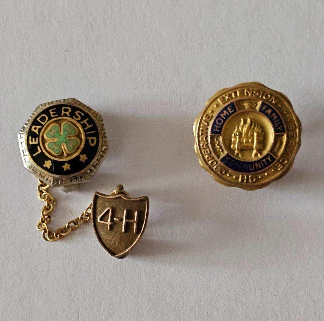 Set of 2 Vintage Agricultural Pins, A 4H Leadership Pin and A Co-op Pin ...