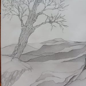 At the Mountain's Edge, Pencil Drawing on Paper, Signed N. Long '97 - Etsy