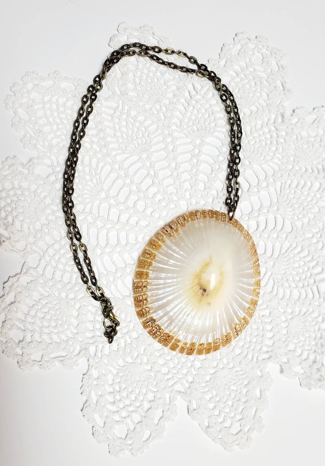 Vintage Polished Shell Pendant Large Shell Necklace 3 Inches - Etsy