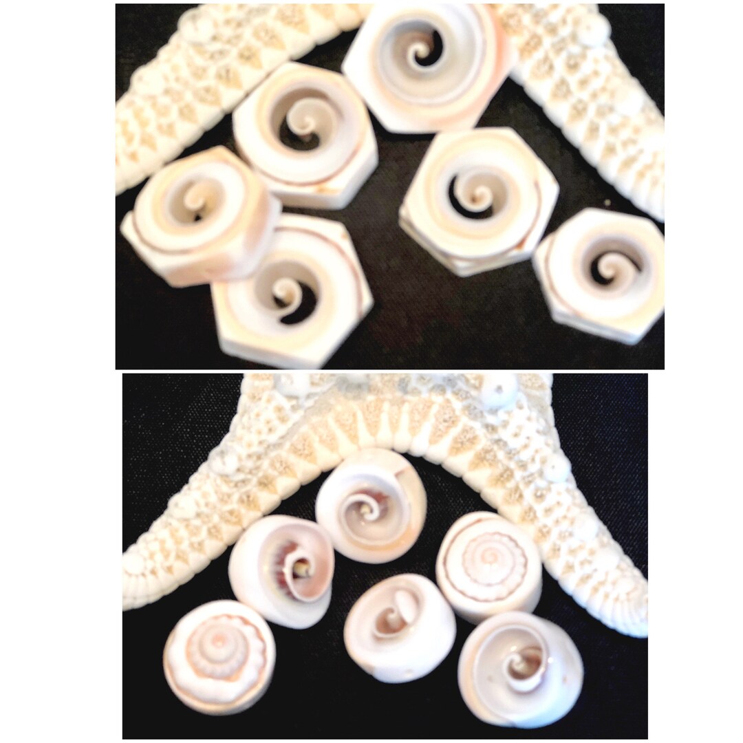 Natural Red Lip Shell Focal , Flat Polygon Shape Shell for Bead Making ...