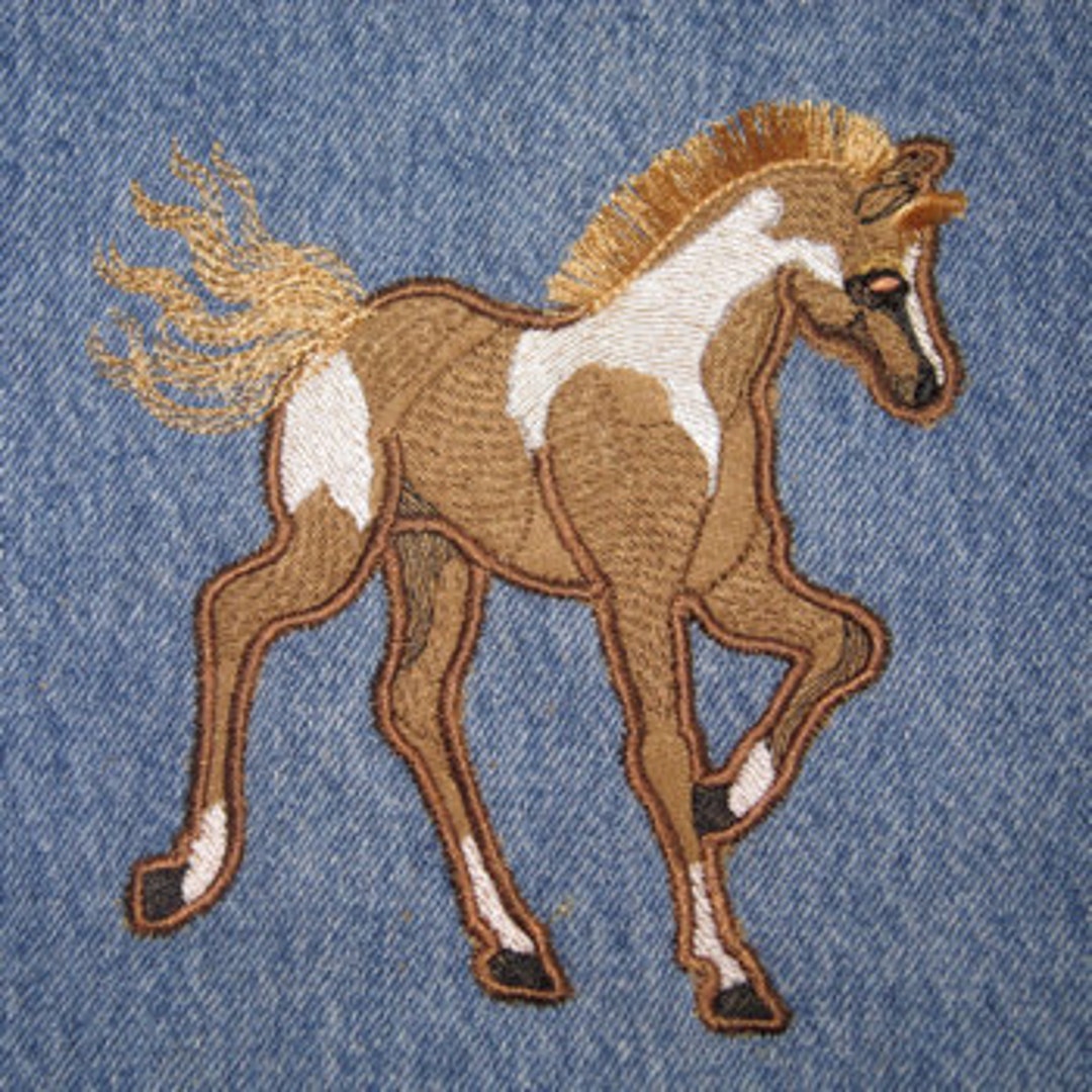 Painted Pony Applique Embroidery Design - Etsy