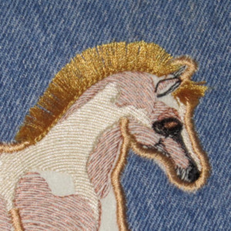 Painted Pony Applique Embroidery Design - Etsy