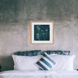 Cyanotype Queen Anne's Lace Wall Art, Blue, Botanical Photography ...