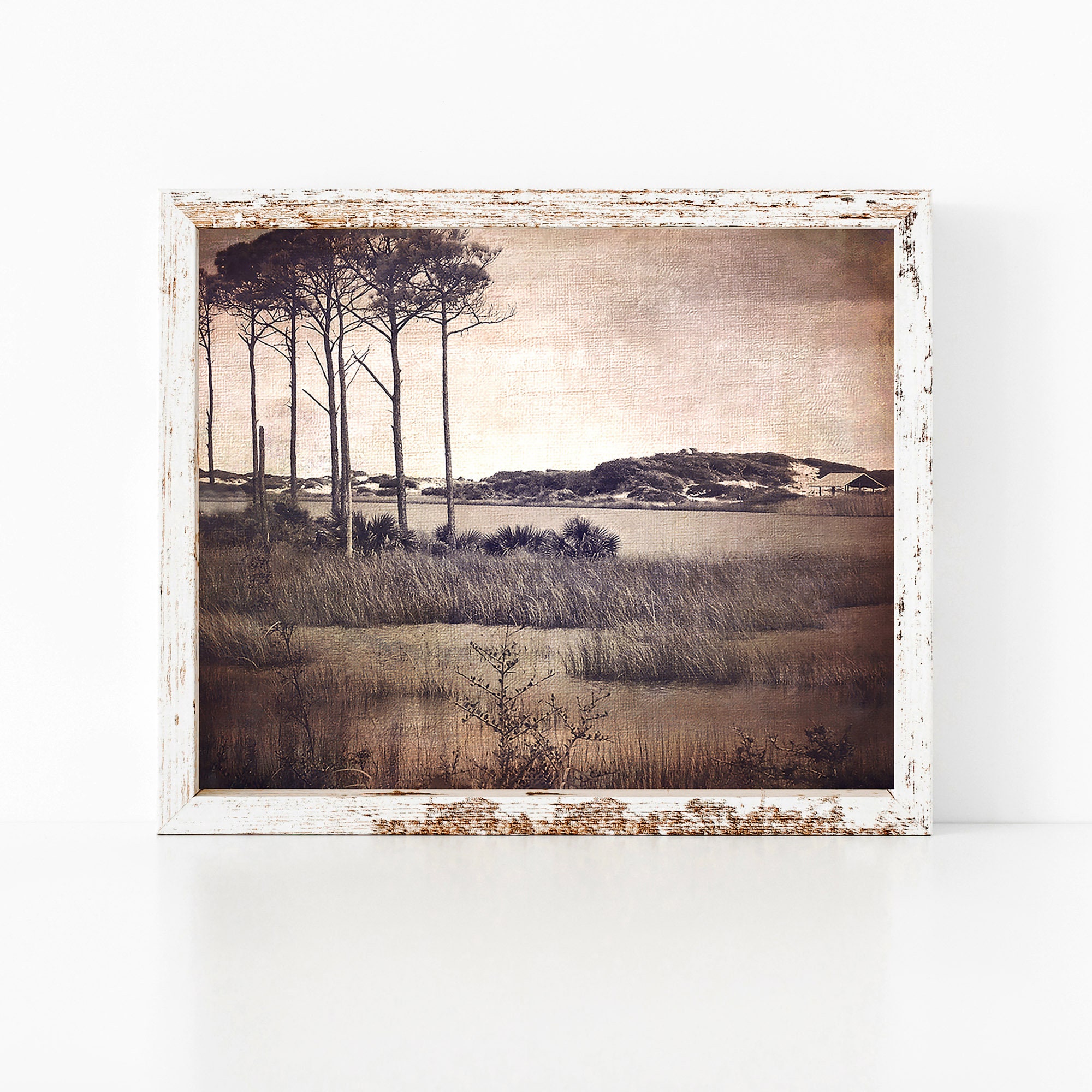 Sepia Coastal Photography Beach Landscape Sepia Southern Gothic ...