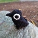 Creeping Crow Crochet PATTERN, Black Birds, Ravens - Etsy