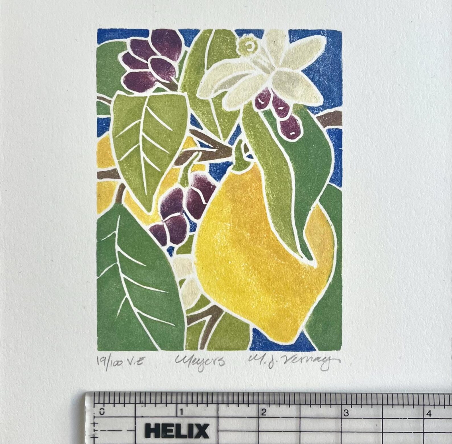 Lemon Woodblock Print,original Woodcut Artwork,handmade Blockprint ...