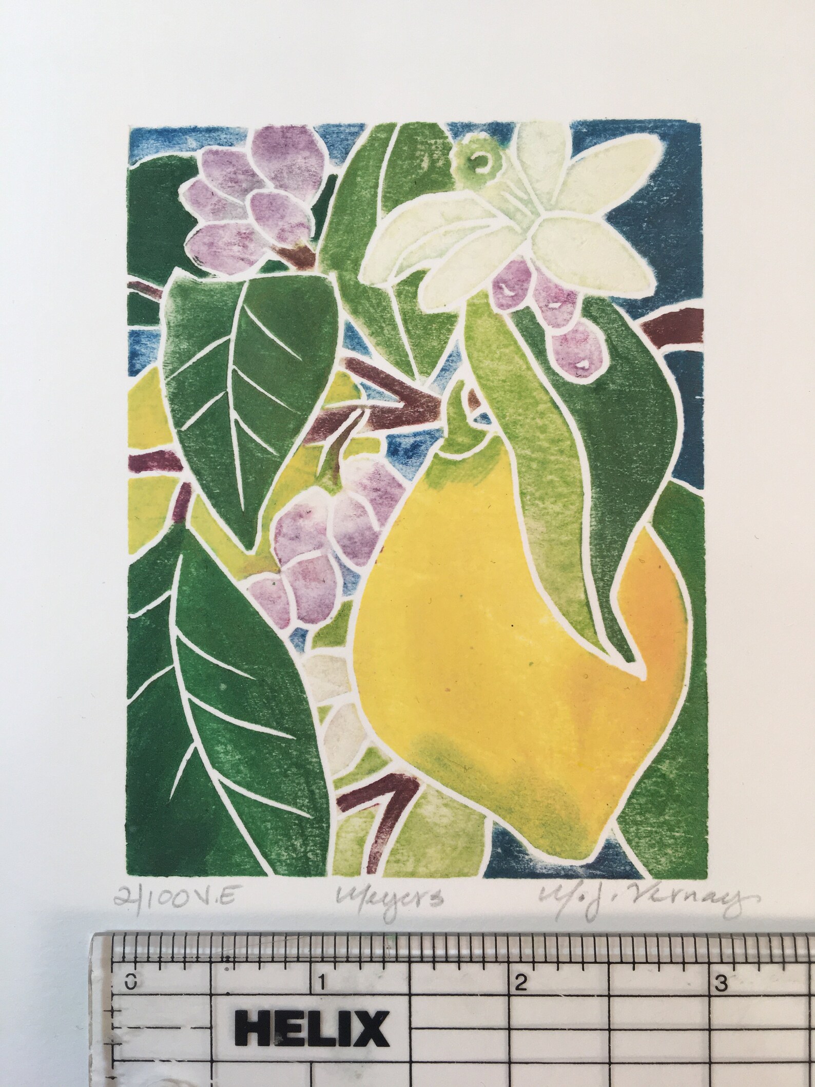 Lemon Themed Woodblock Print, Lemon Tree Art, Original Woodcut ...