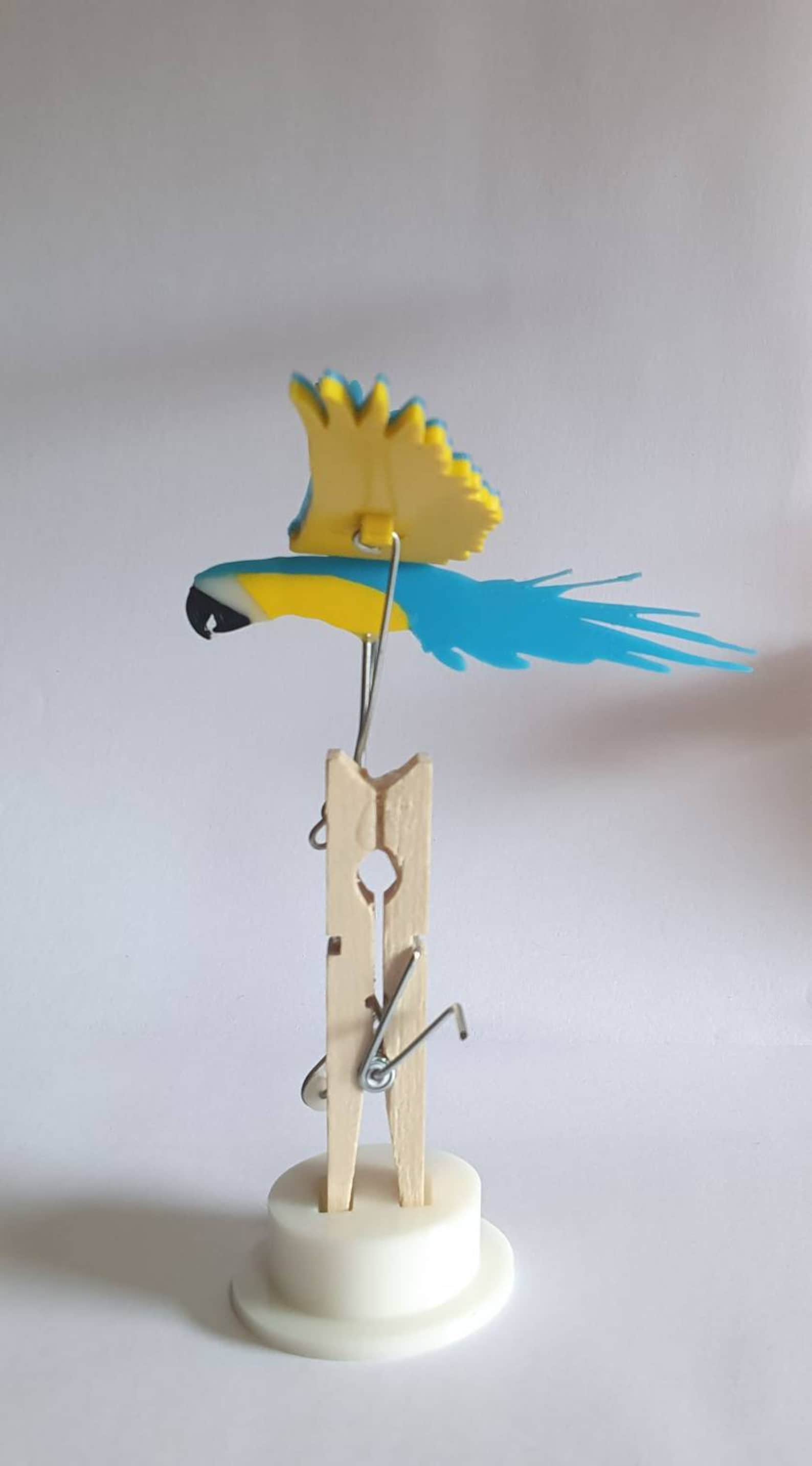 Little Macaw Peg Automaton Kit - Etsy