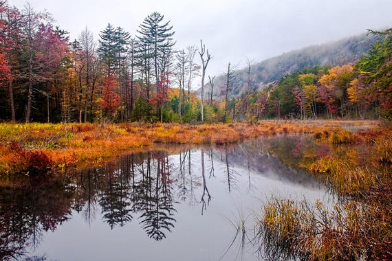 Autumn Landscape Fall Foliage Nature Photography Autumn | Etsy