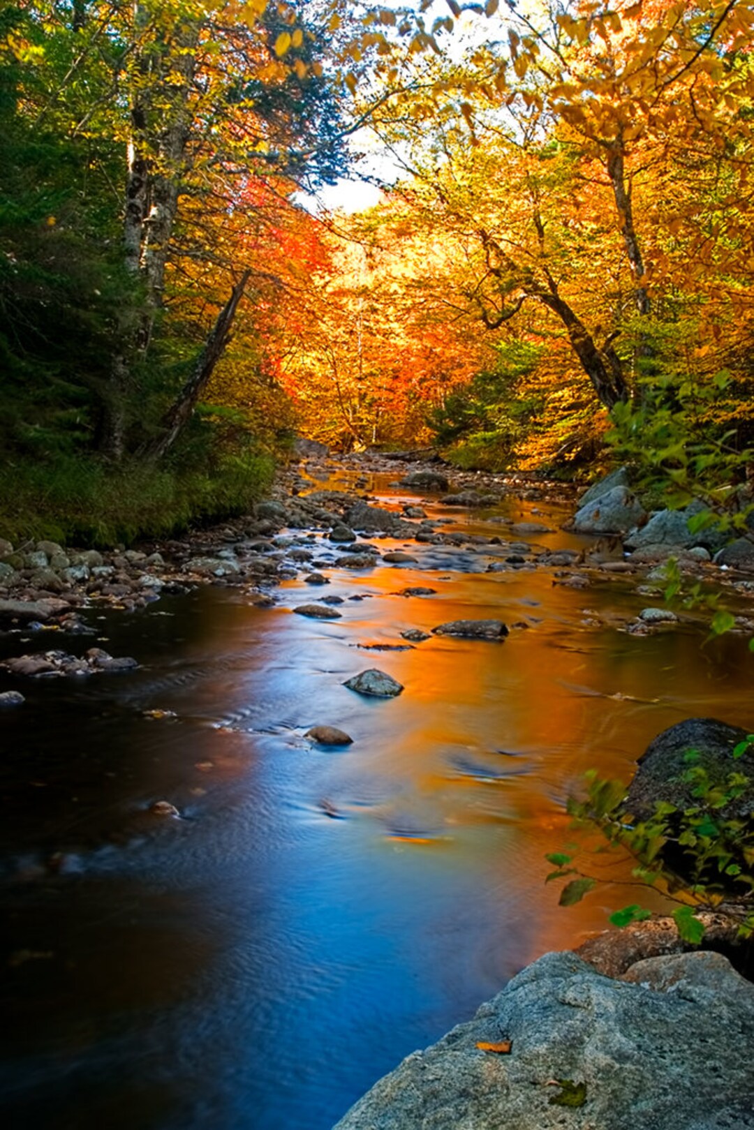 Adirondack Stream Print, Adirondack Autumn, Yellow, Blue, Adirondack ...