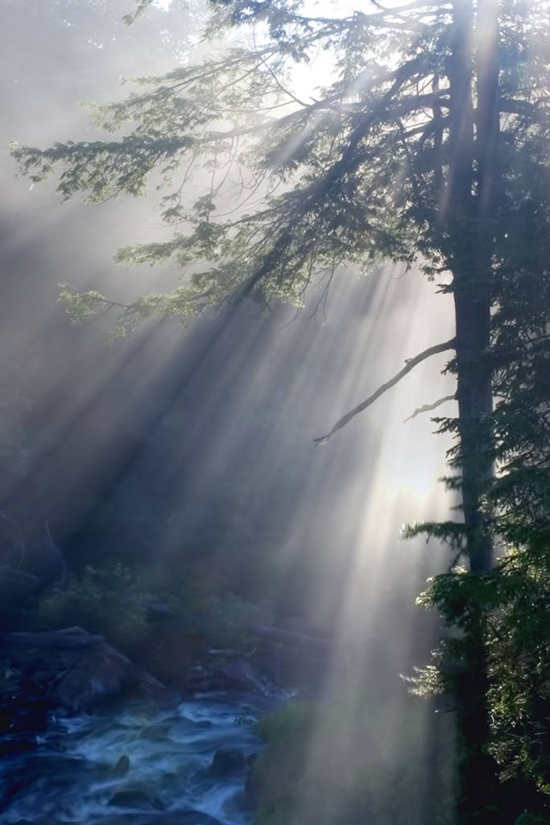 Fine Art Photography Print, Wall Art, Home Decor, Adirondack Fine Art ...