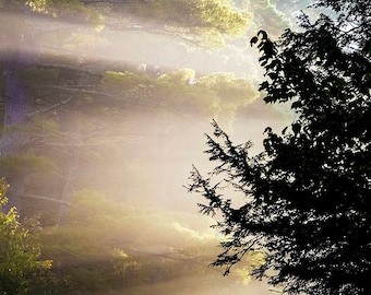 Sun Wall Decor - Etsy