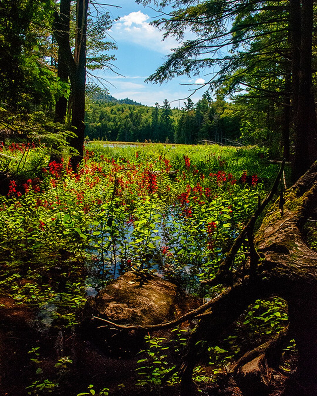 Adirondack Landscape Photograph, Adirondack Photography, Nature ...