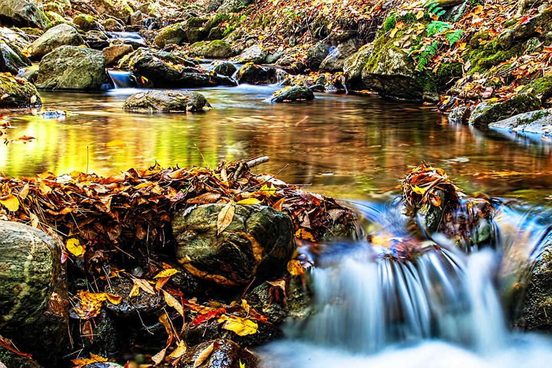 Adirondack Stream, Adirondack Brook, Autumn Waterfall, Landscape Print ...