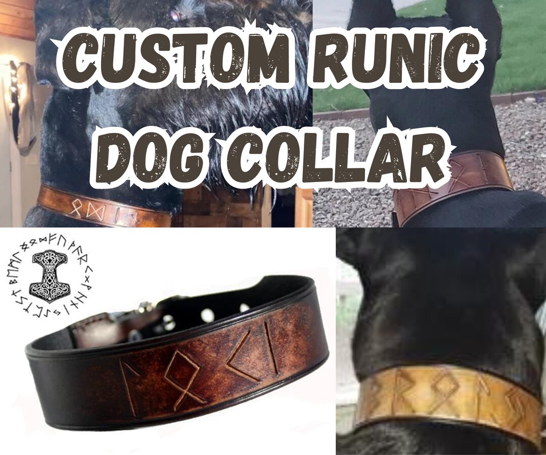 Customized Runic Dog Collar Runes Style Dog Collar Made for Your Dog's ...