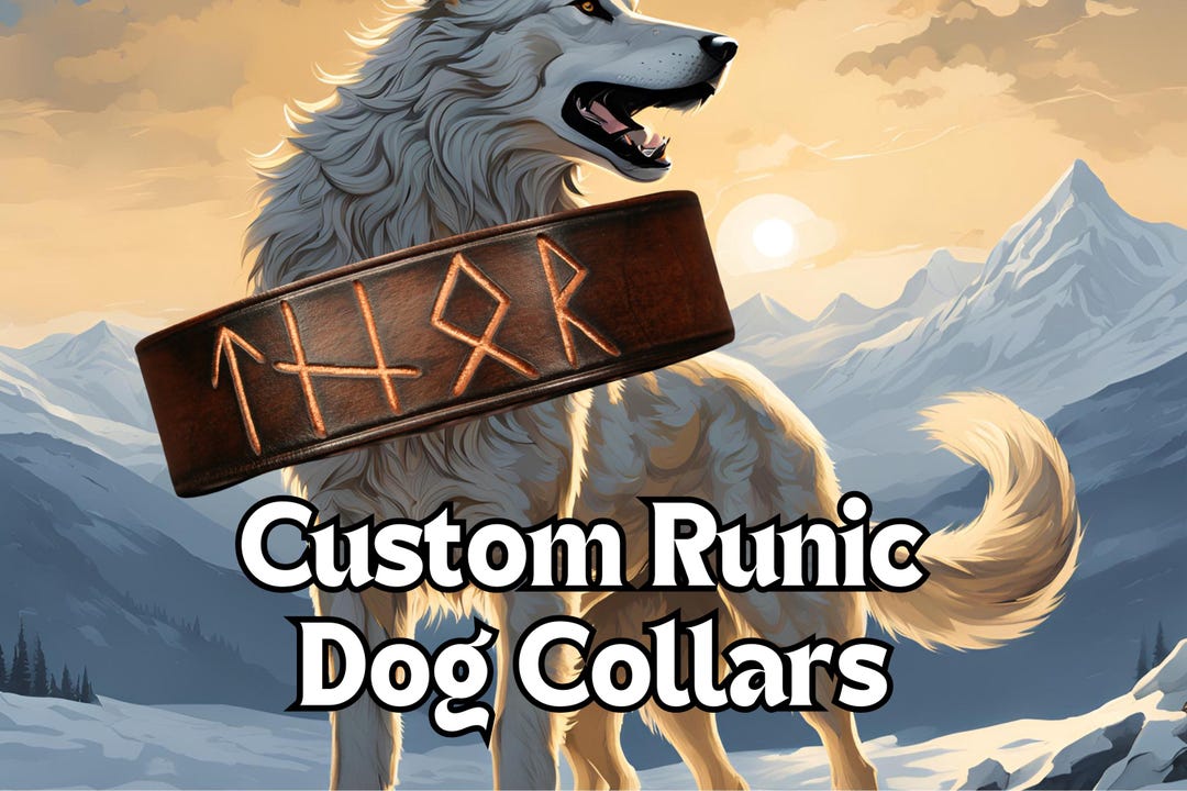 Runic Leather Dog Collar Leather Dog Collar With Runic Letters Cosplay ...