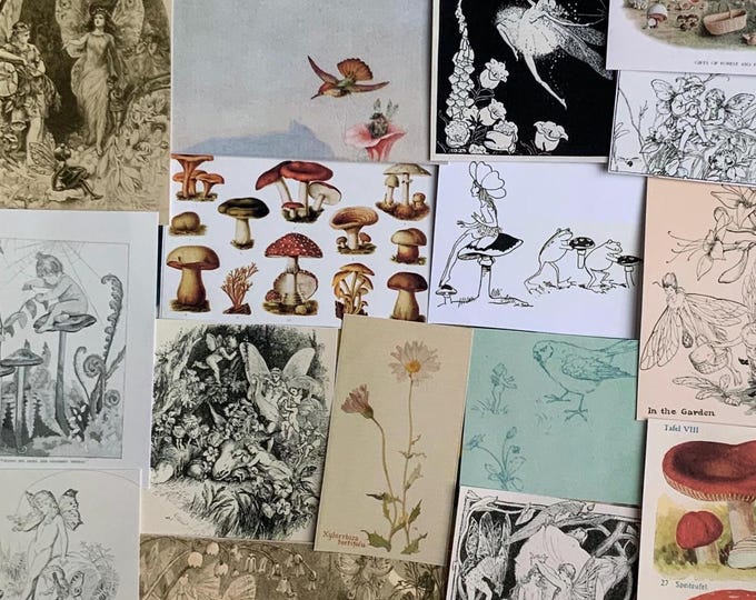 26 Piece Fairy Garden Theme Vintage Paper Pack - Scrapbooking Ephemera ...