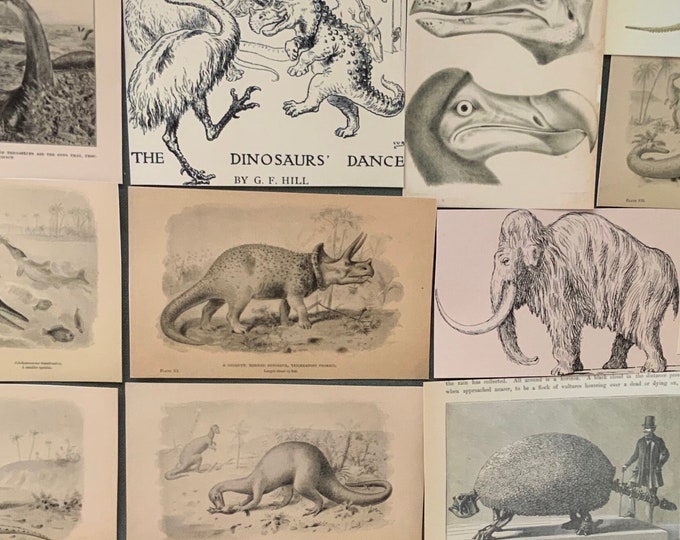 16 Piece Prehistoric & Extinct Animals Theme Vintage Paper Pack ...