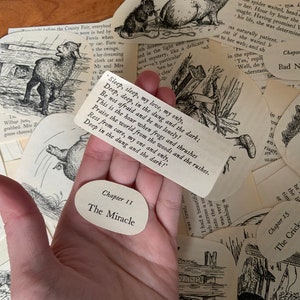 56 Piece Charlottes Web Paper Pack Scrapbooking Ephemera Junk Journal ...