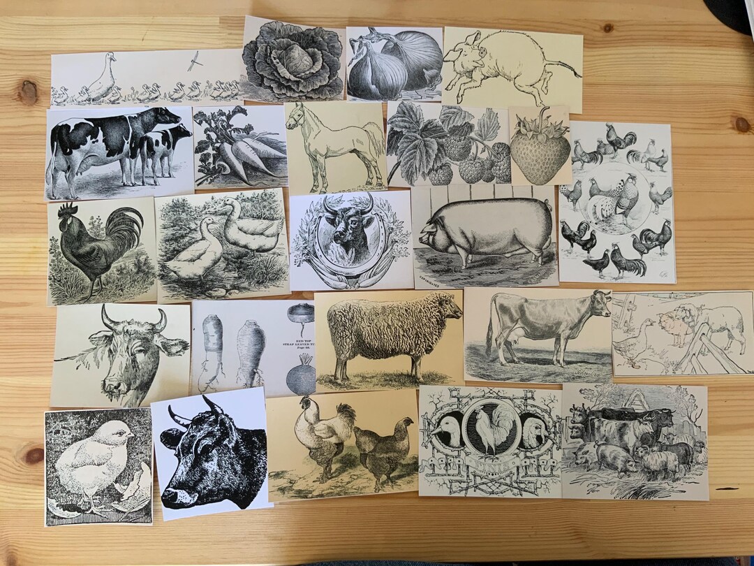 24 Piece Farm Life Theme Vintage Paper Pack - Scrapbooking Ephemera ...