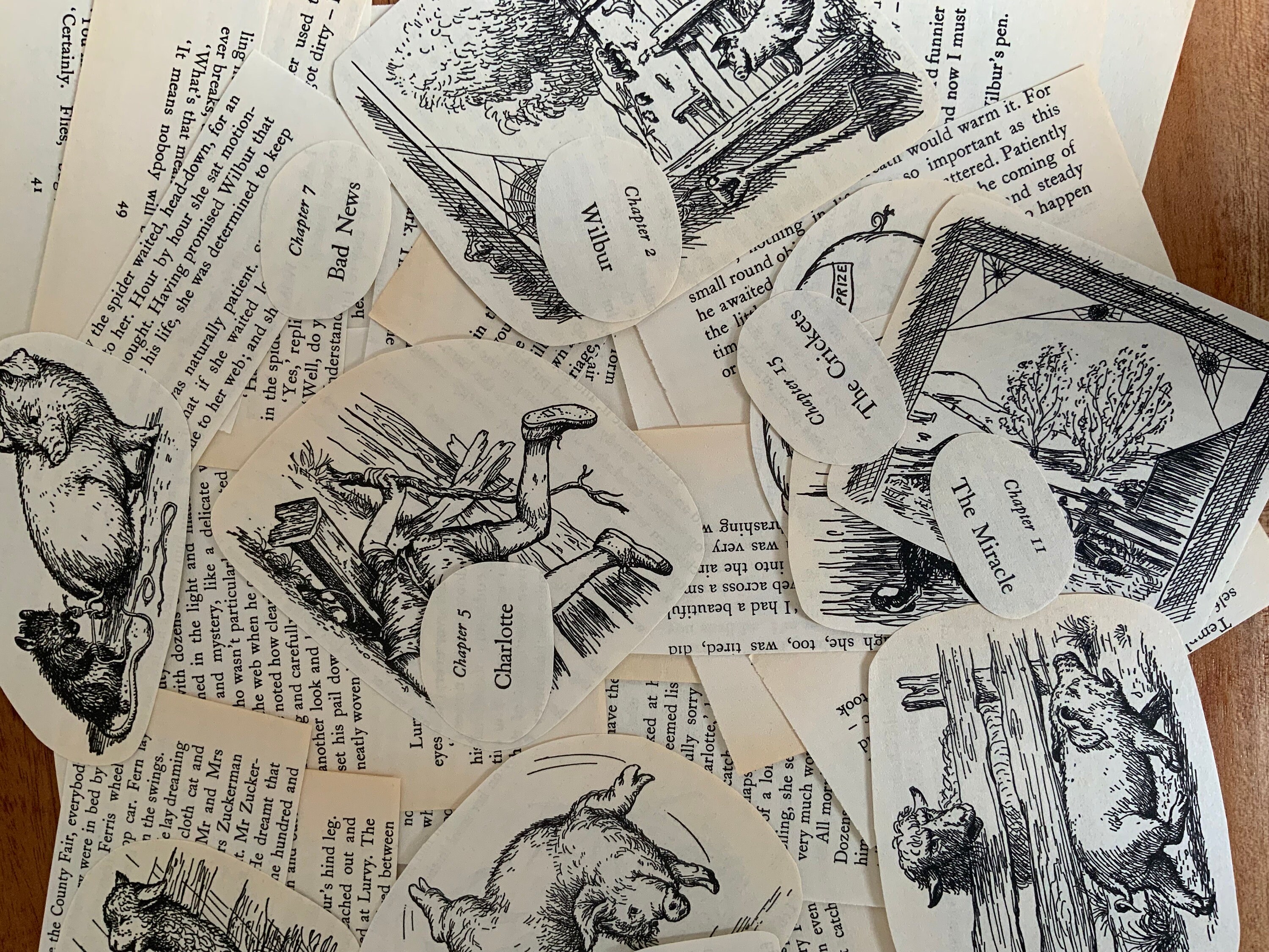 56 Piece Charlottes Web Paper Pack Scrapbooking Ephemera Junk Journal ...