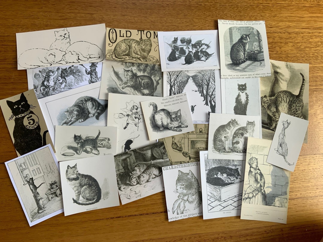 22 Piece Cats Theme Vintage Paper Pack - Scrapbooking Ephemera - Junk ...