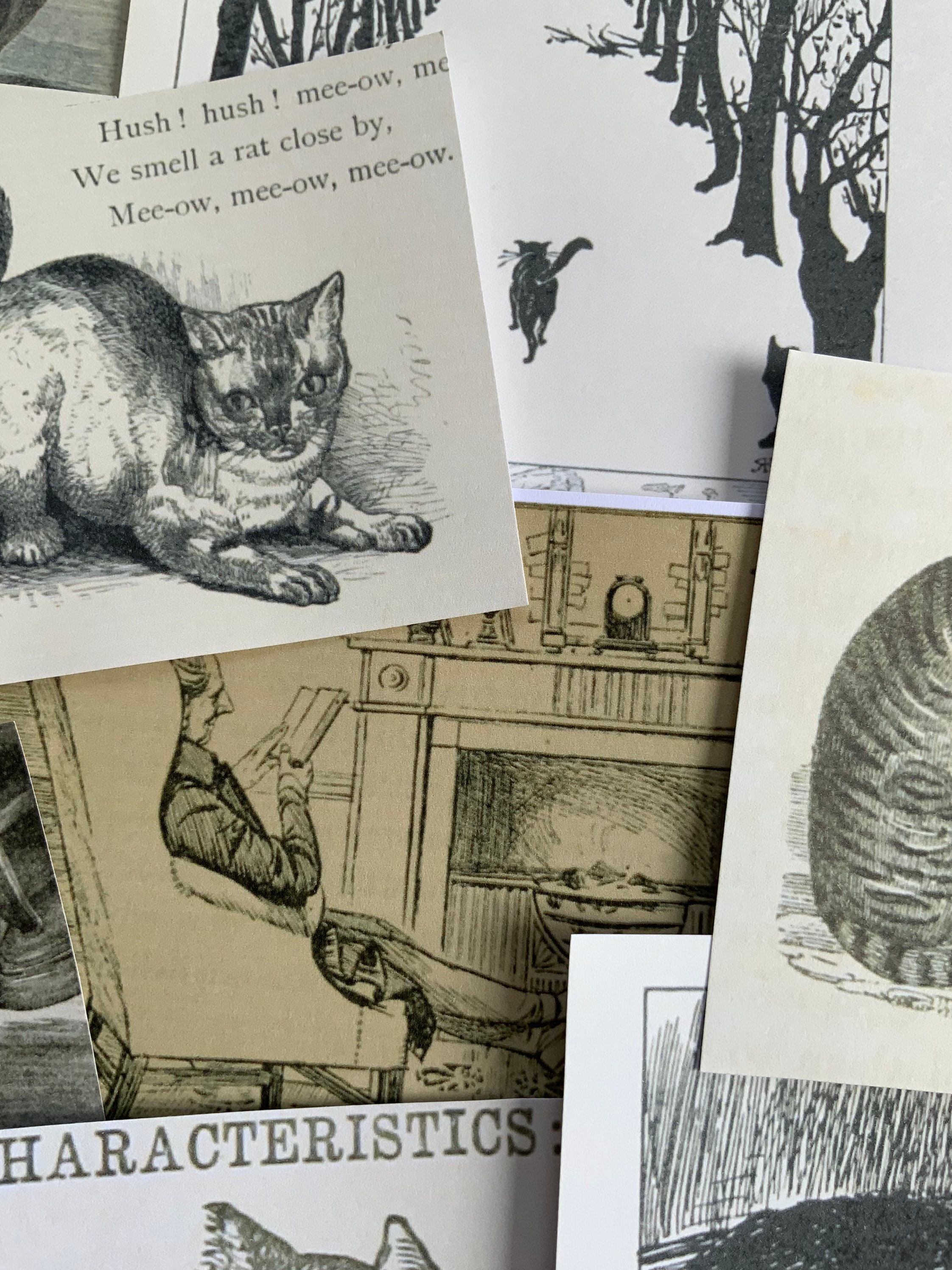 22 Piece Cats Theme Vintage Paper Pack Scrapbooking Ephemera - Etsy