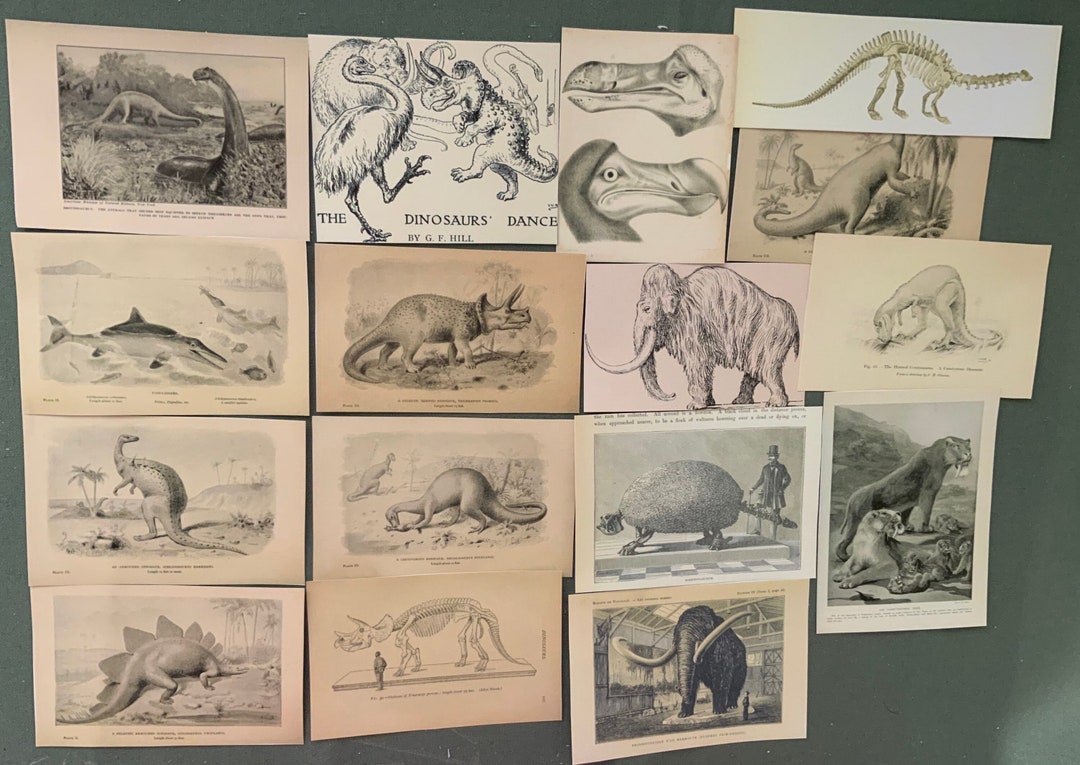 16 Piece Prehistoric & Extinct Animals Theme Vintage Paper Pack ...