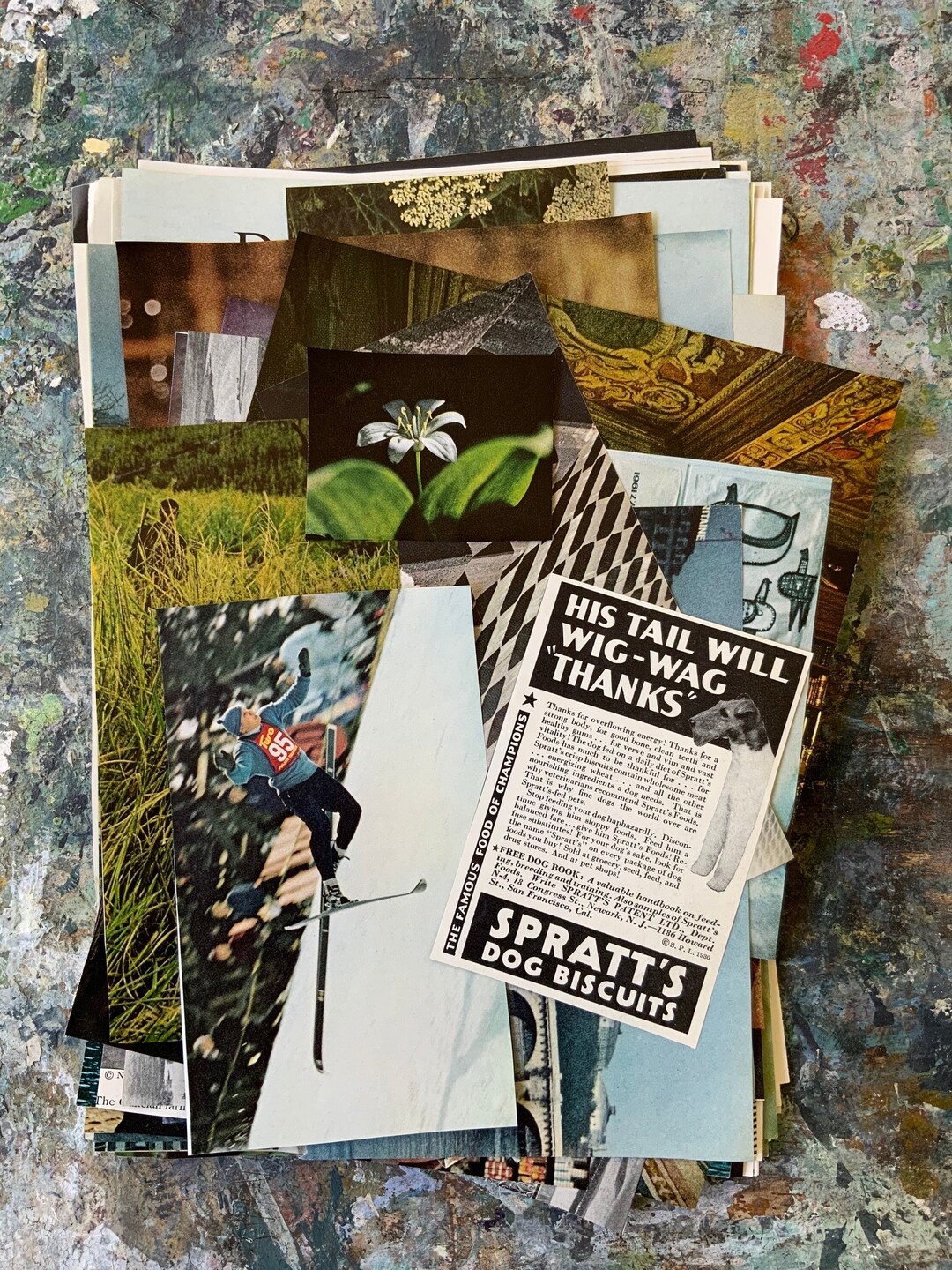 52 Piece National Geographic Collage Paper Pack Scrapbooking Vintage ...