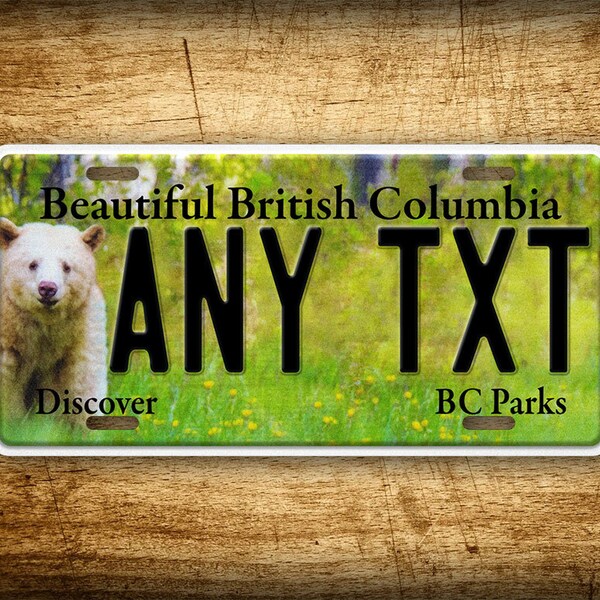 Mini License Plate - Etsy