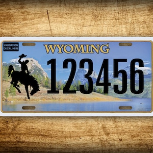 Personalized Novelty Wyoming State Custom 6x12 Novelty License Plate - Etsy