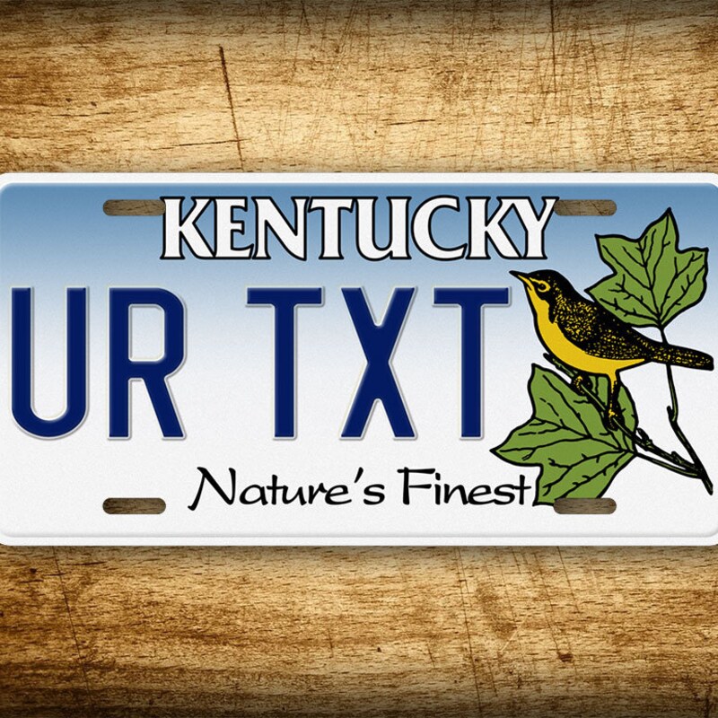 License Plate Bird Feeder - Etsy