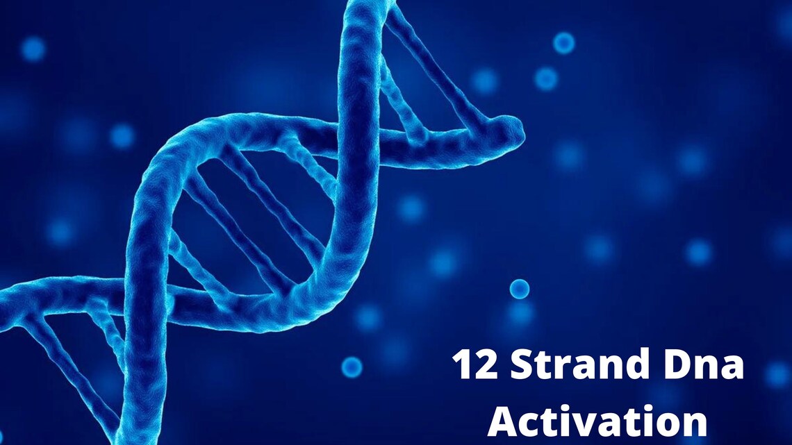 12 Strand Dna (3 Sessions ) - Etsy