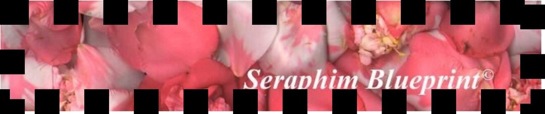 Seraphim Blueprint - Etsy