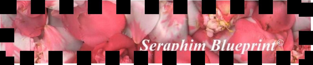 Seraphim Blueprint Healing - Etsy