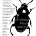 Printable Poster the METAMORPHOSIS by KAFKA Book Lovers - Etsy